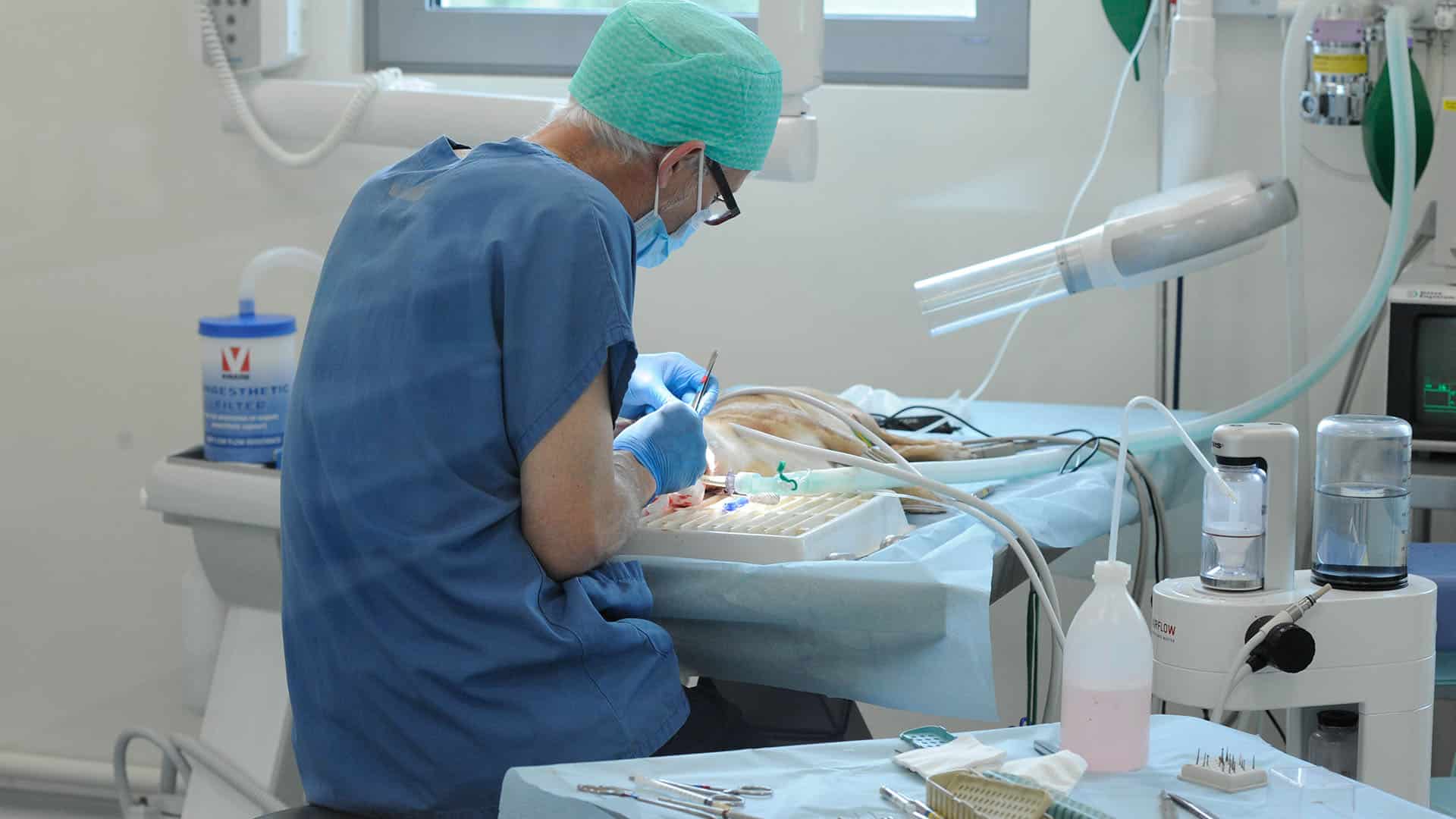 DENTISTERIE STOMATOLOGIE CHIRURGIE MAXILLO-FACIALE SERVICE – ADVETIA