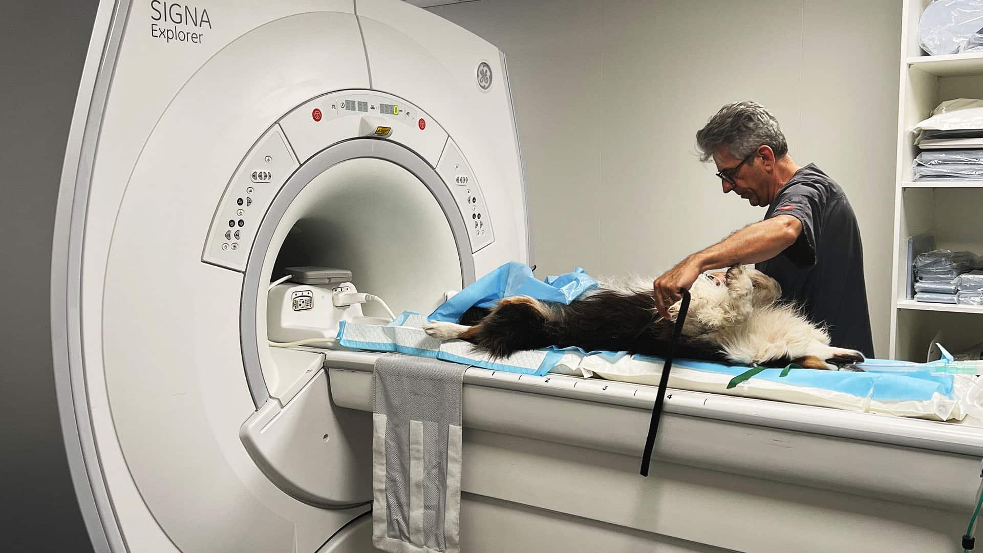 Vaccination du Lapin – ADVETIA